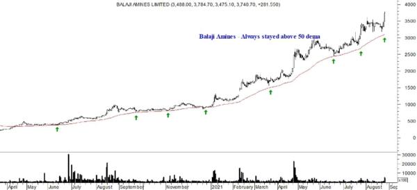 Bull Market: Identifying Stocks and Riding the Trend - Blog by Tickertape