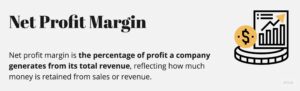 Net Profit Margin - Meaning, Calculation, Limitations, And More ...